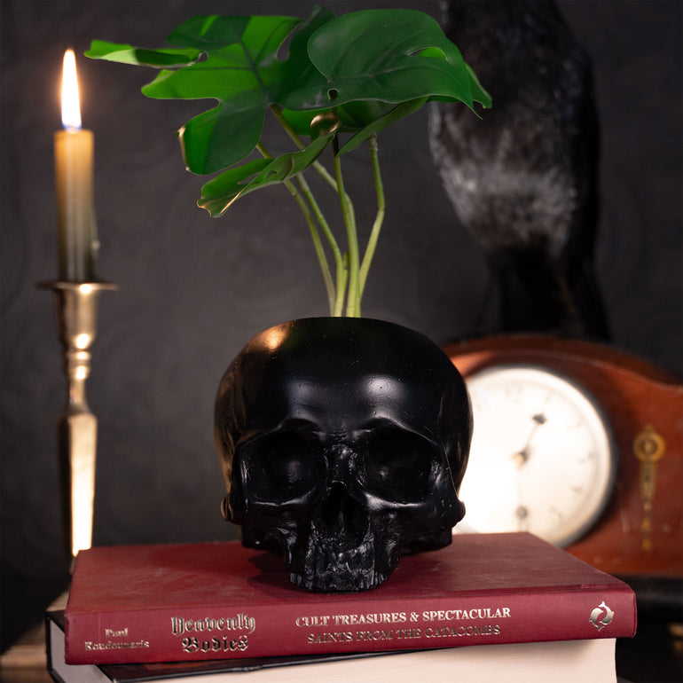 Replica Skull Ornaments – The Blackened Teeth Ltd