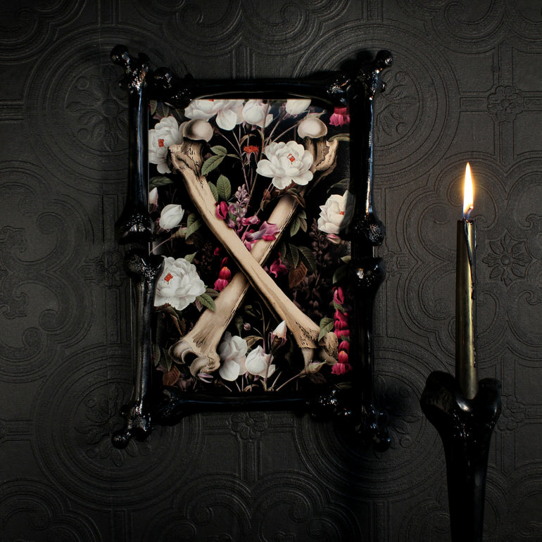 Bone Frames – The Blackened Teeth Ltd