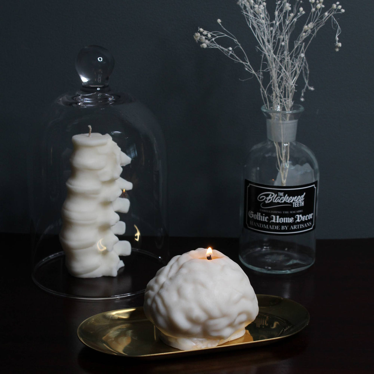 Brain Candle - Anatomy Candles by The Blackened Teeth – The Blackened ...