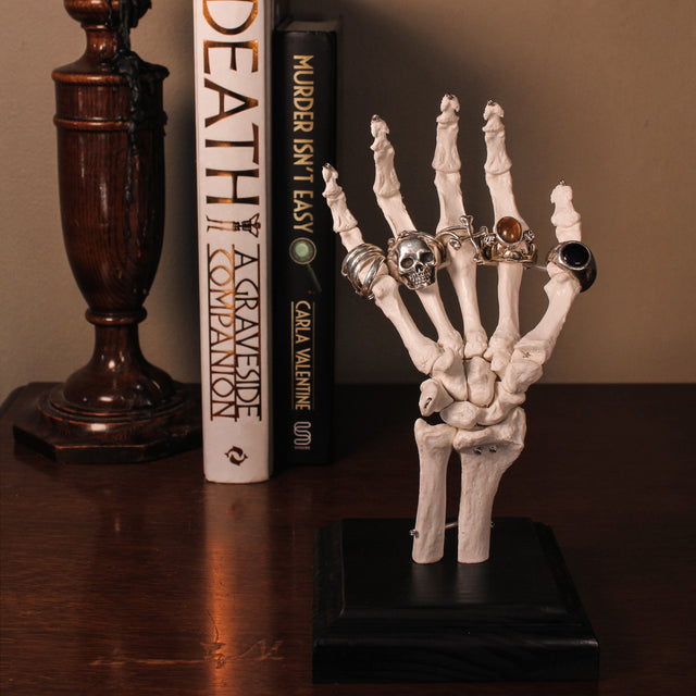 Skeleton Hand Jewellery Stand – The Blackened Teeth Ltd