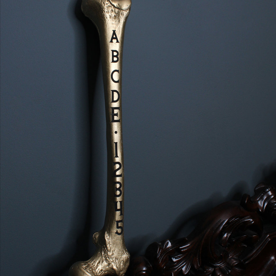 Engraved Femur Bone - Custom Engraving – The Blackened Teeth Ltd